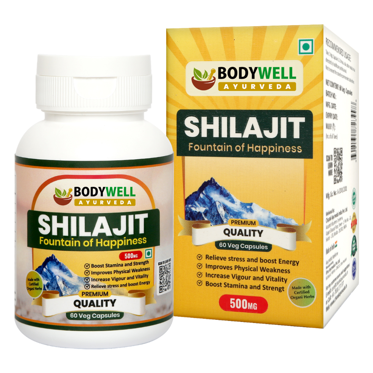 Buy Bodywell Shilajit 500 mg, 60 Capsules | 19 Minutes Delivery ...