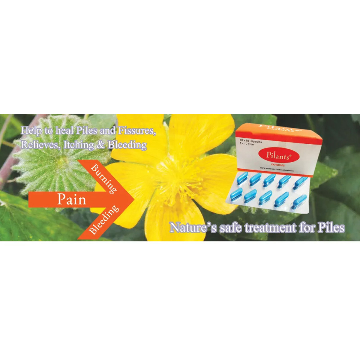 Pilants, 10 Capsules Price, Uses, Side Effects, Composition - Apollo ...